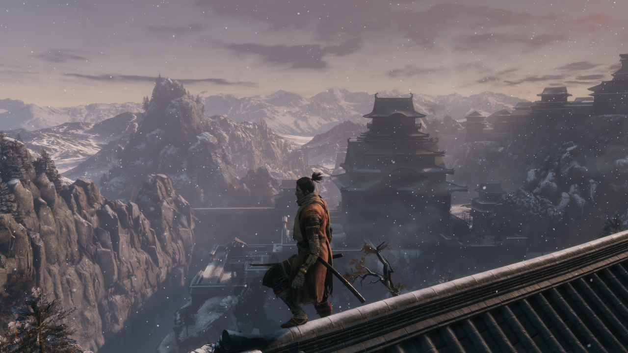 Sekiro: Shadows Die Twice im Techniktest: 14 Grafikkarten auf dem Prüfstand